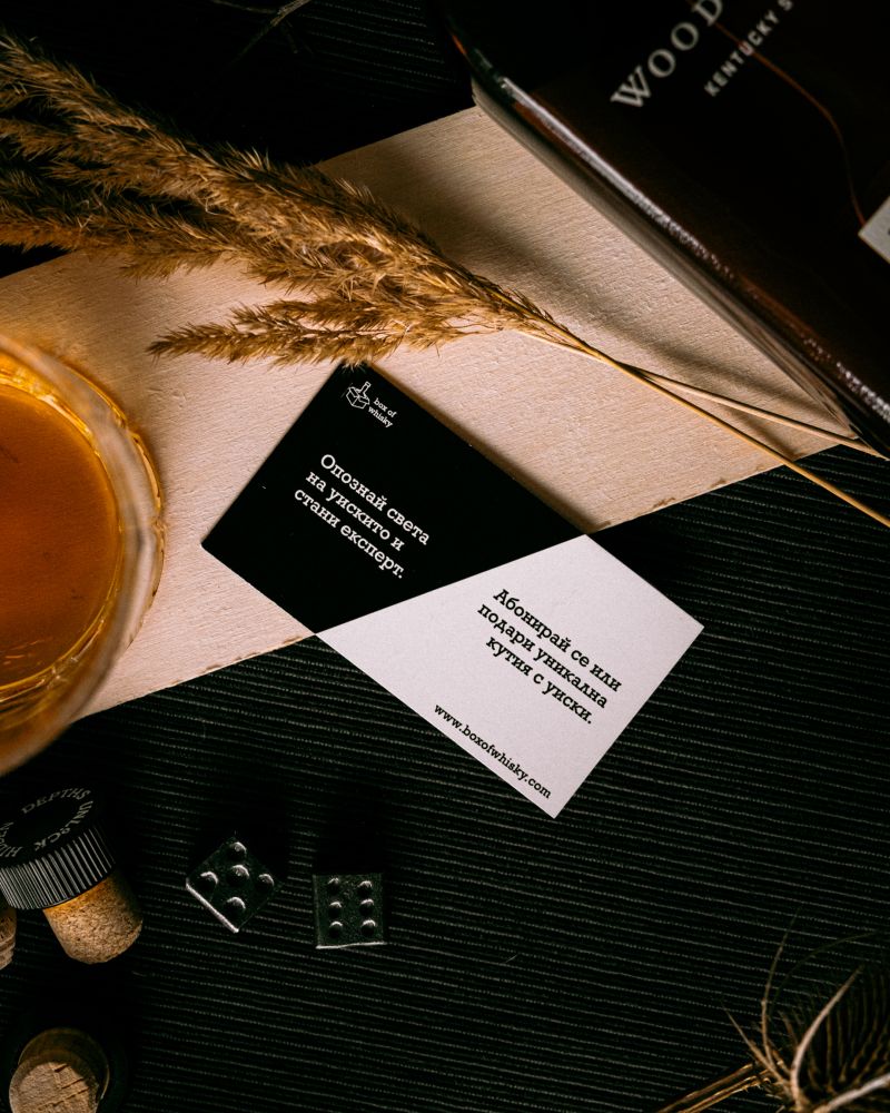 Lyubomir Mateev 🇧🇬 (Lupo) - Ux Design Mentor on MentorCruise